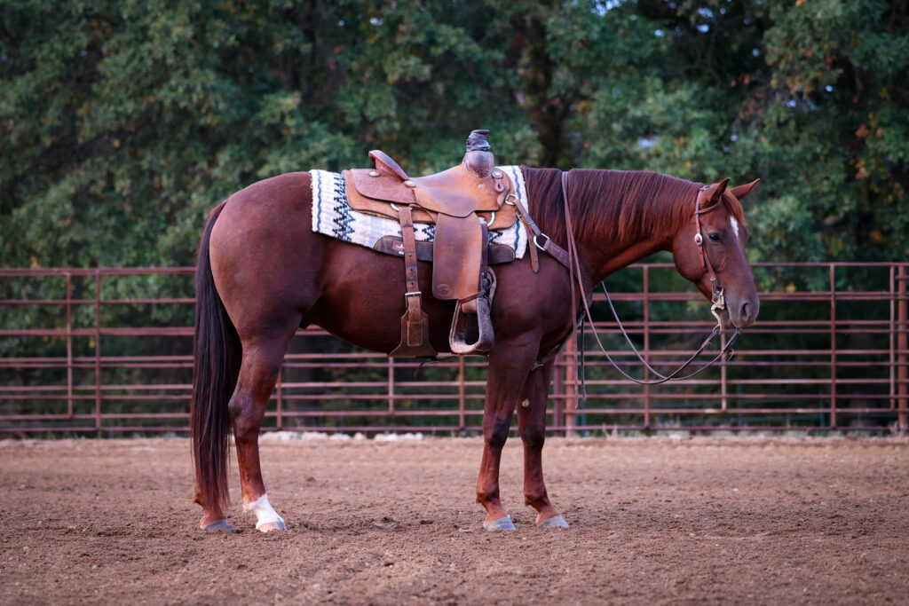 Lot 12: SUEN NIKE - Rancho Rio