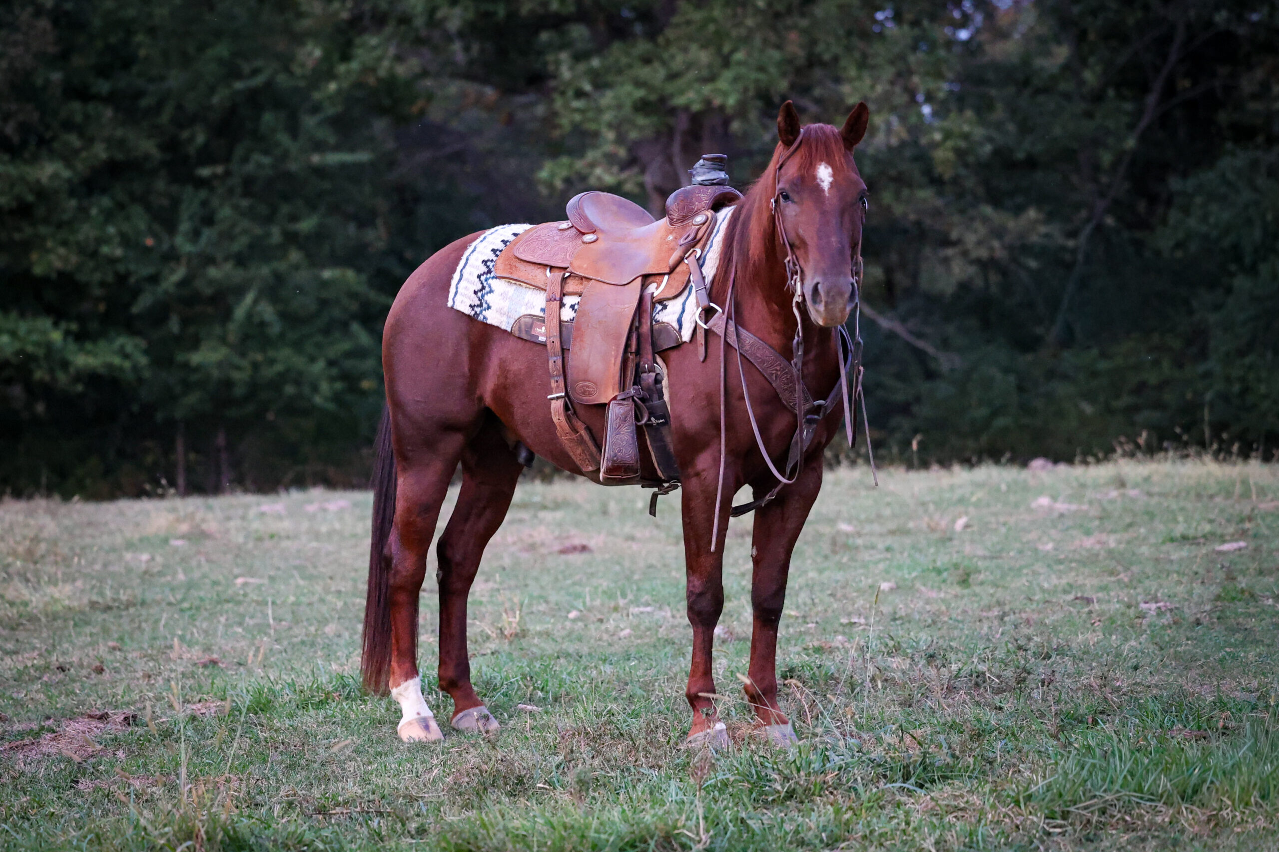 Lot 12: SUEN NIKE - Rancho Rio