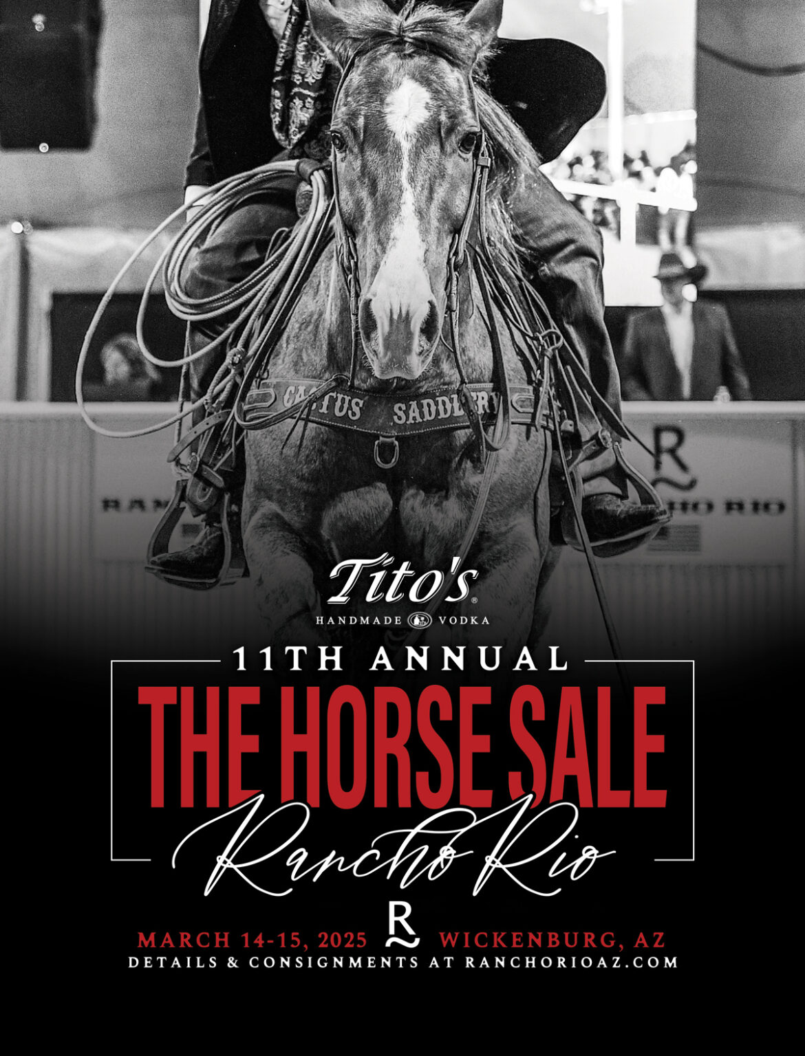 The Horse Sale at Rancho Rio - Rancho Rio